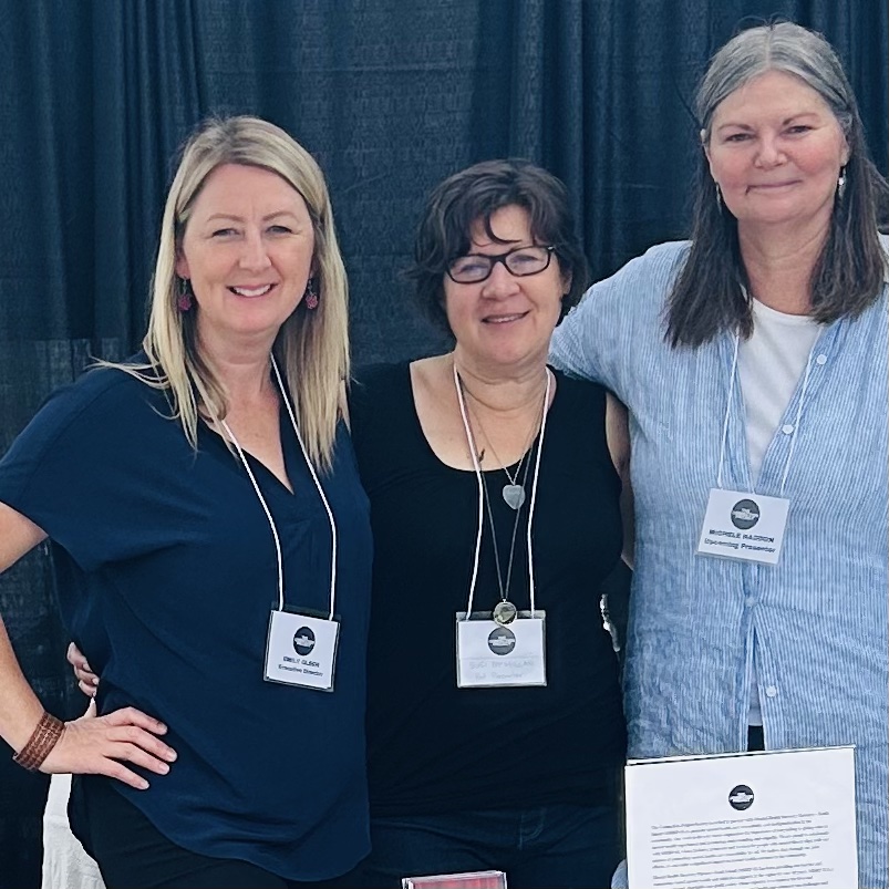 Community Work – The Connection Project